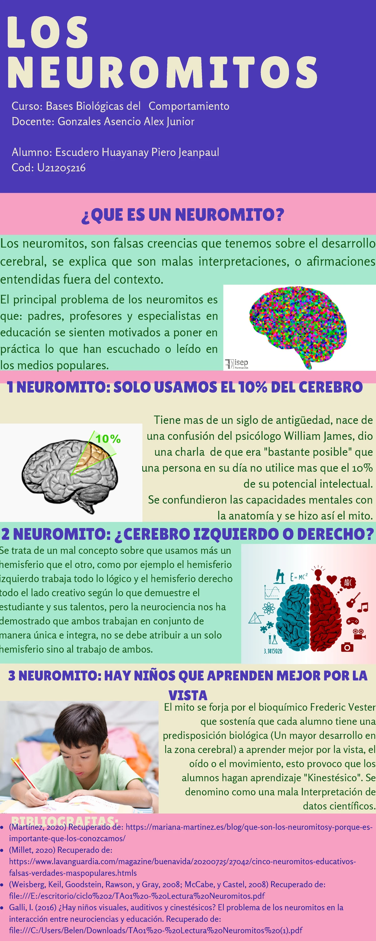Infografía sobre Neuromitos en Neurociencia: Conceptos Erróneos - Studocu
