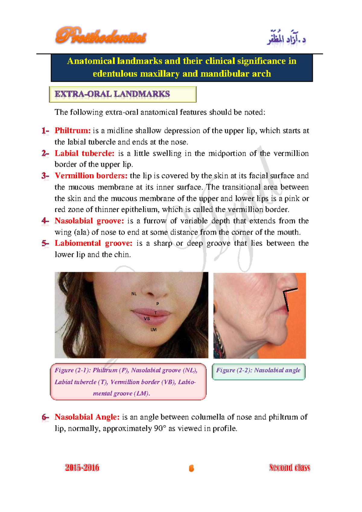 Anatomical Landmarks for Complete Denture: Clinical Significance - Studocu