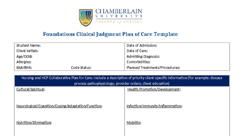 Foundations Clinical Judgment Plan of Care Template - Nov 25, 2025 ...