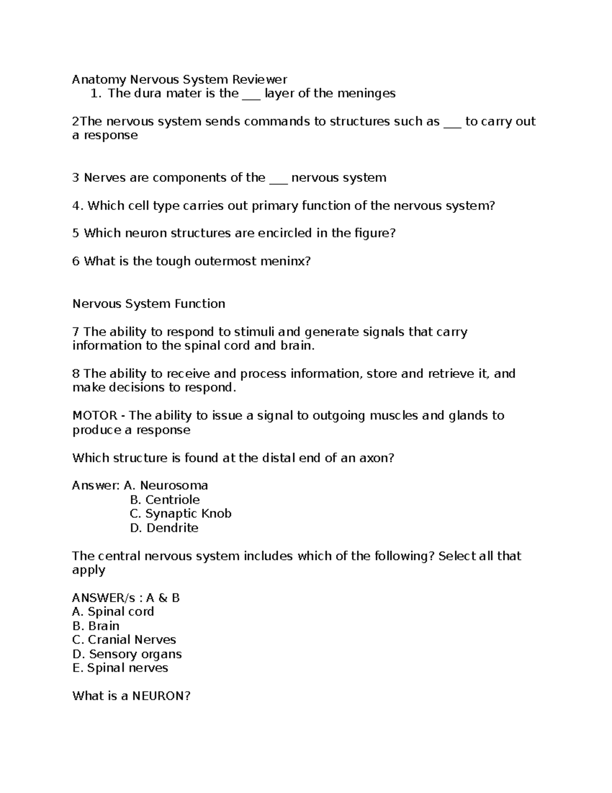 Anatomy Nervous System Reviewer - The dura mater is the ___ layer of ...