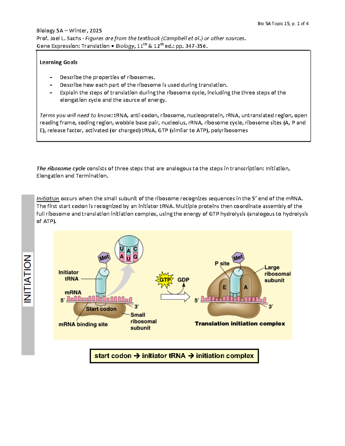 Midterm Study Guide - Course Code: [Insert Course Code Here] - Biology ...