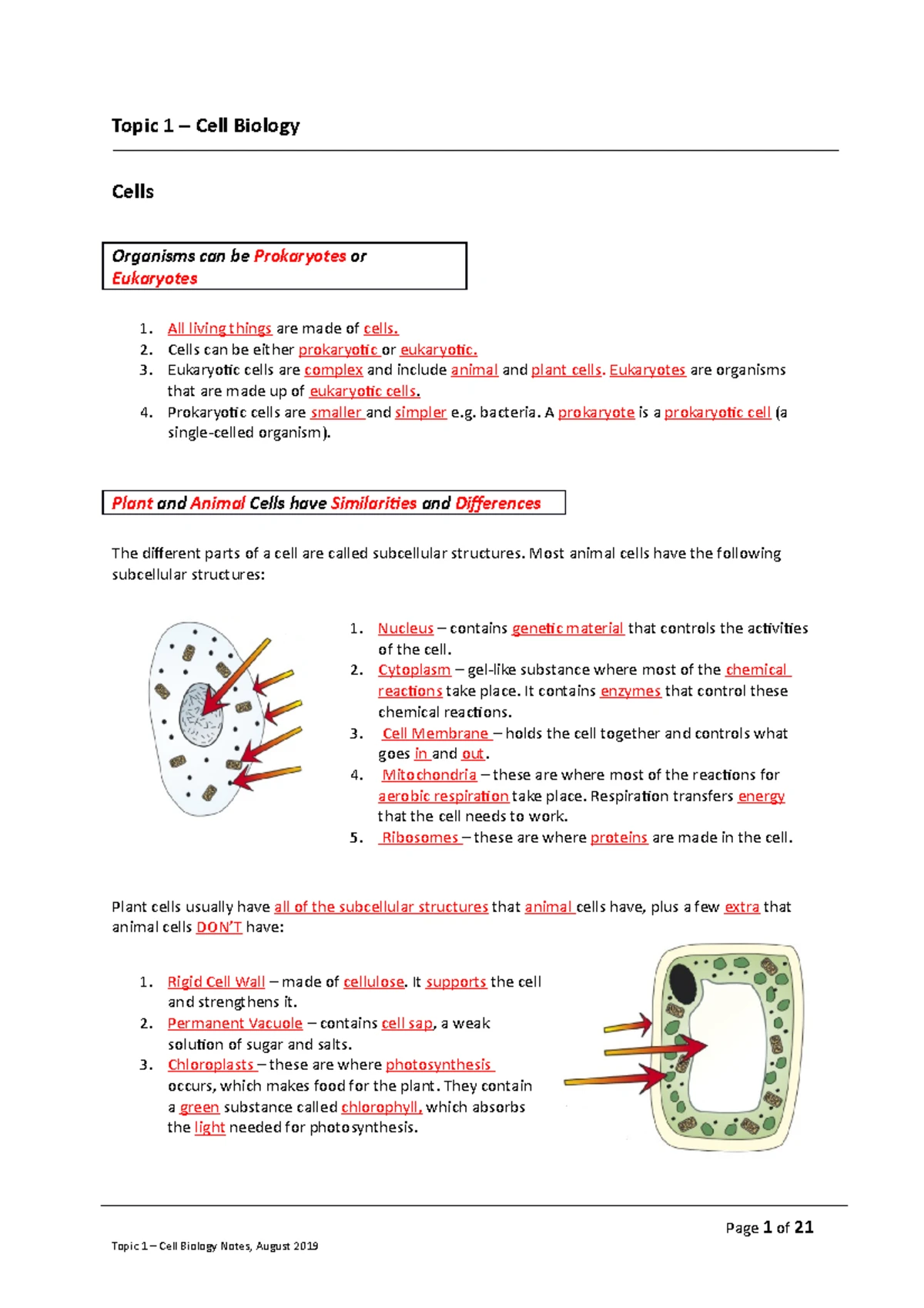 Biology (AQA 8461) Paper 2 Revision Guide: Homeostasis & Responses ...