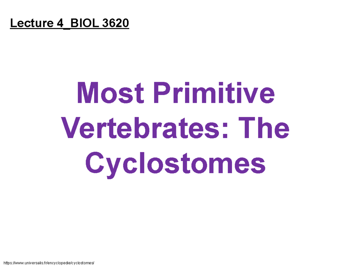 Overall Morphology and Phylogeny of Cyclostomes - Lecture 4 BIOL 3620 ...