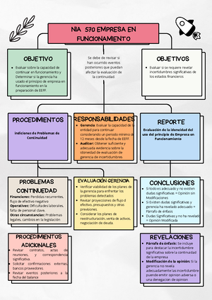 NIA 200 - NIA 200 - NORMA INTERNACIONAL DE AUDITORÍA 200 OBJETIVOS ...