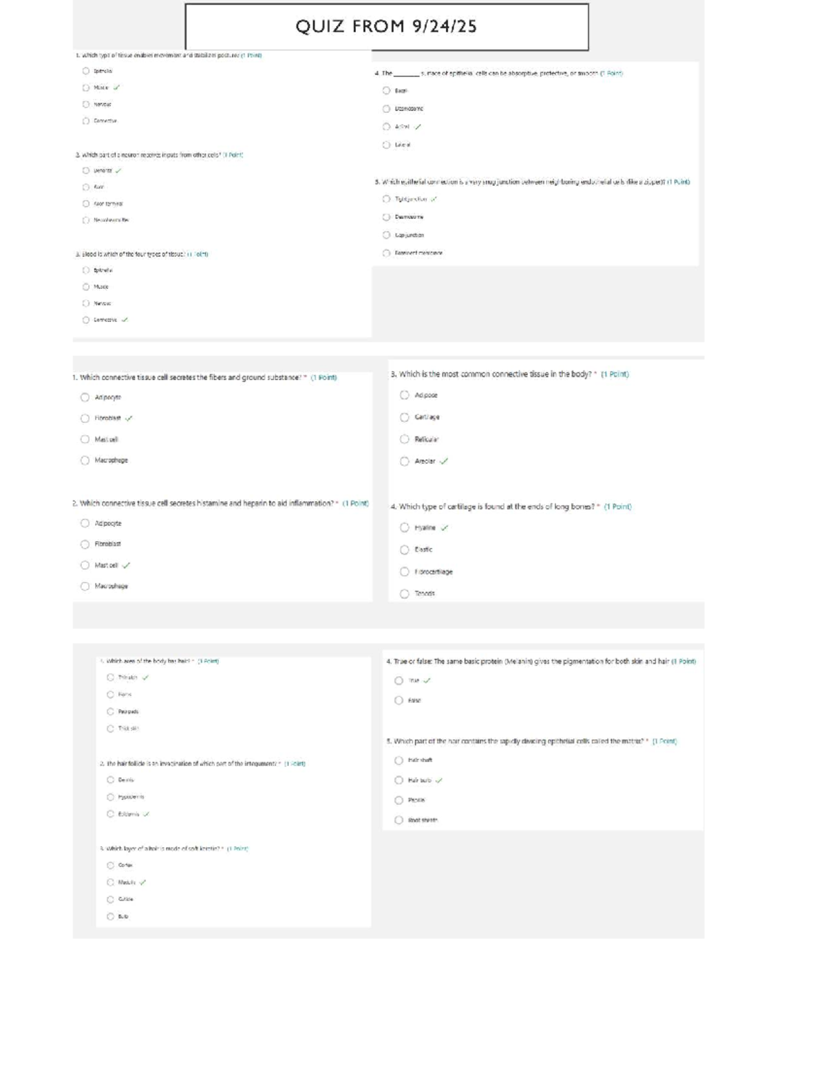 BIO101 Quiz: Tissue Types and Integument Structure Analysis - Studocu