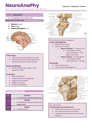 Complete newborn screening card example - To ensure proper patient ...