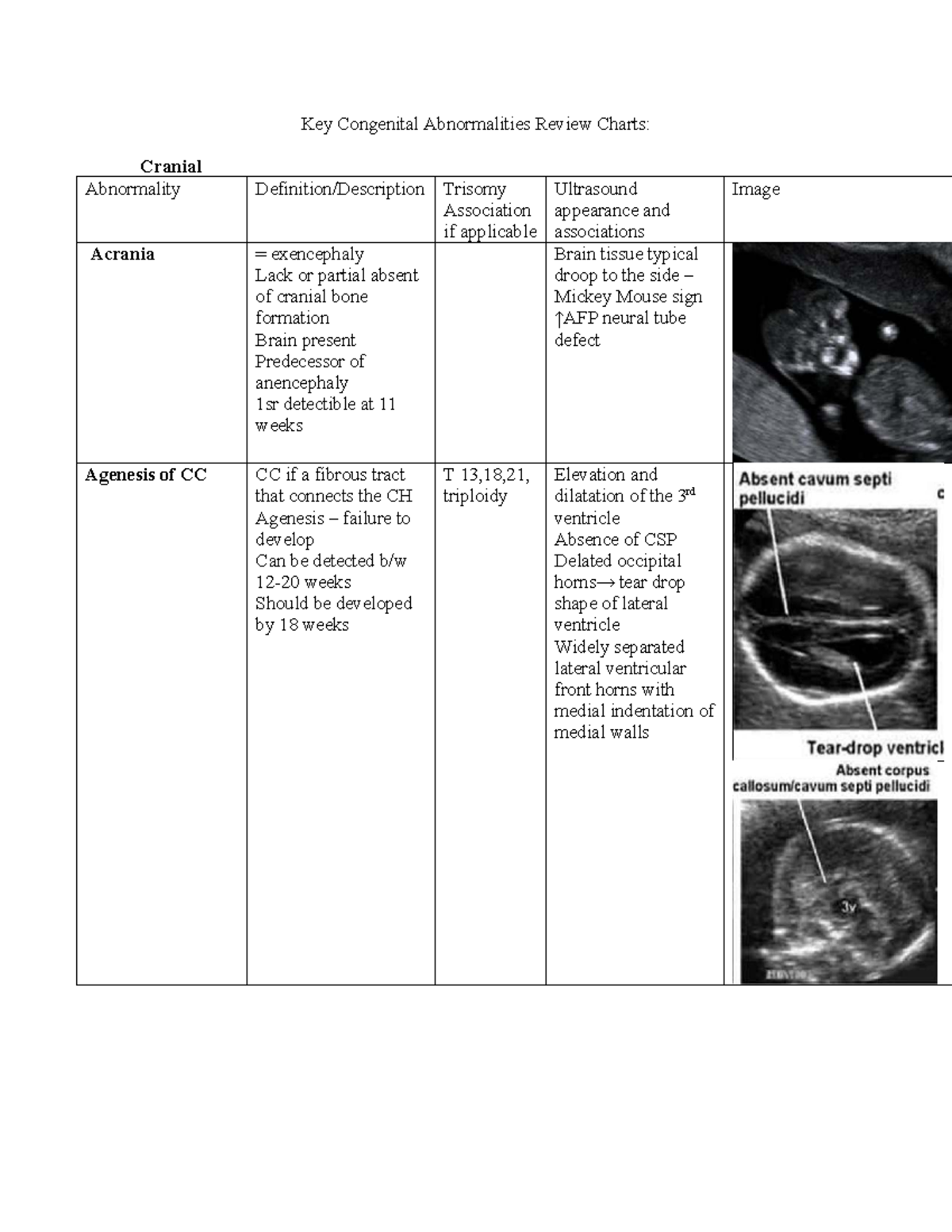 Conganomaly Wkst 201: Key Review of Cranial Abnormalities and ...
