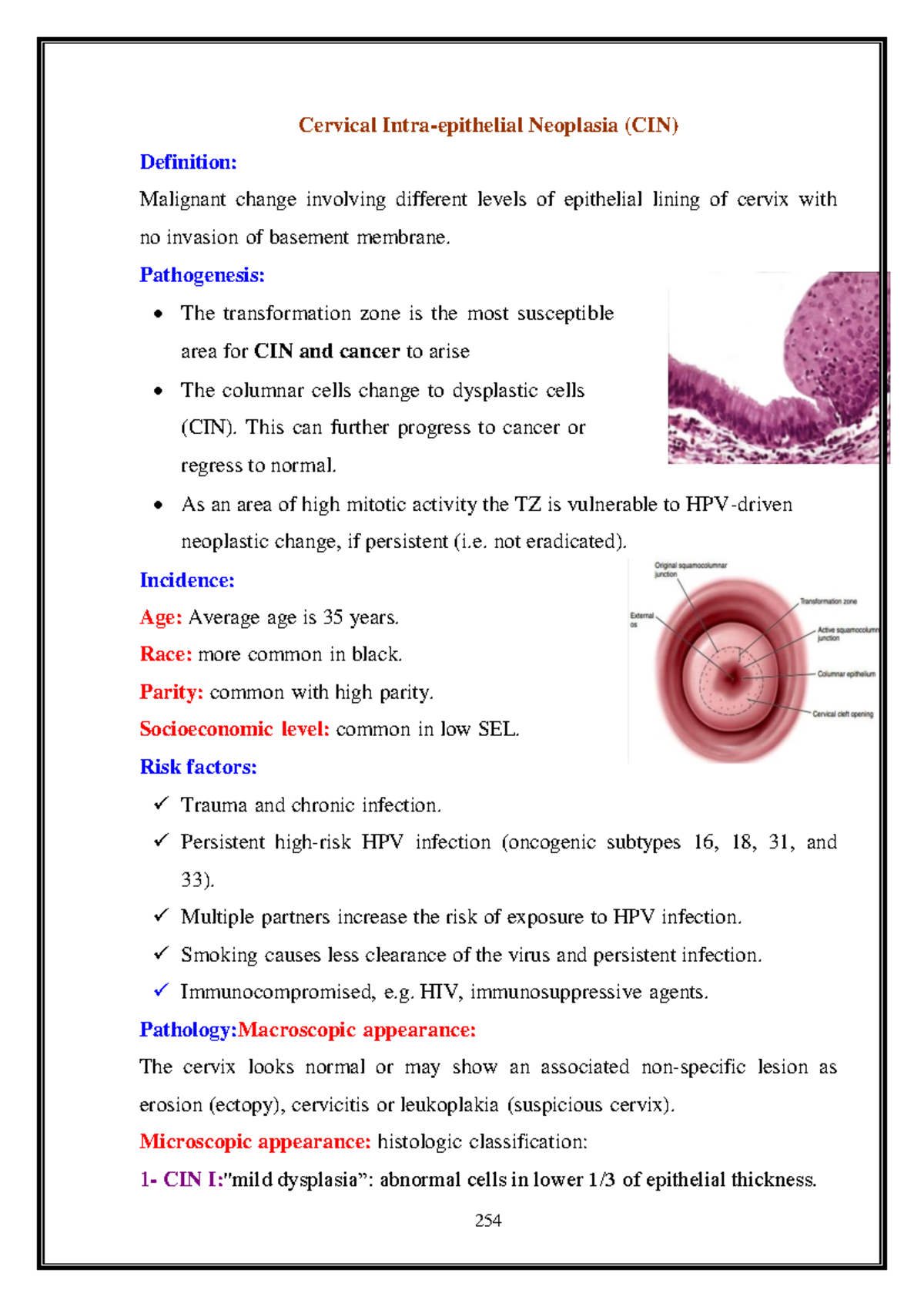 CIN, Cancer cervix - Cervical Intra-epithelial Neoplasia (CIN ...