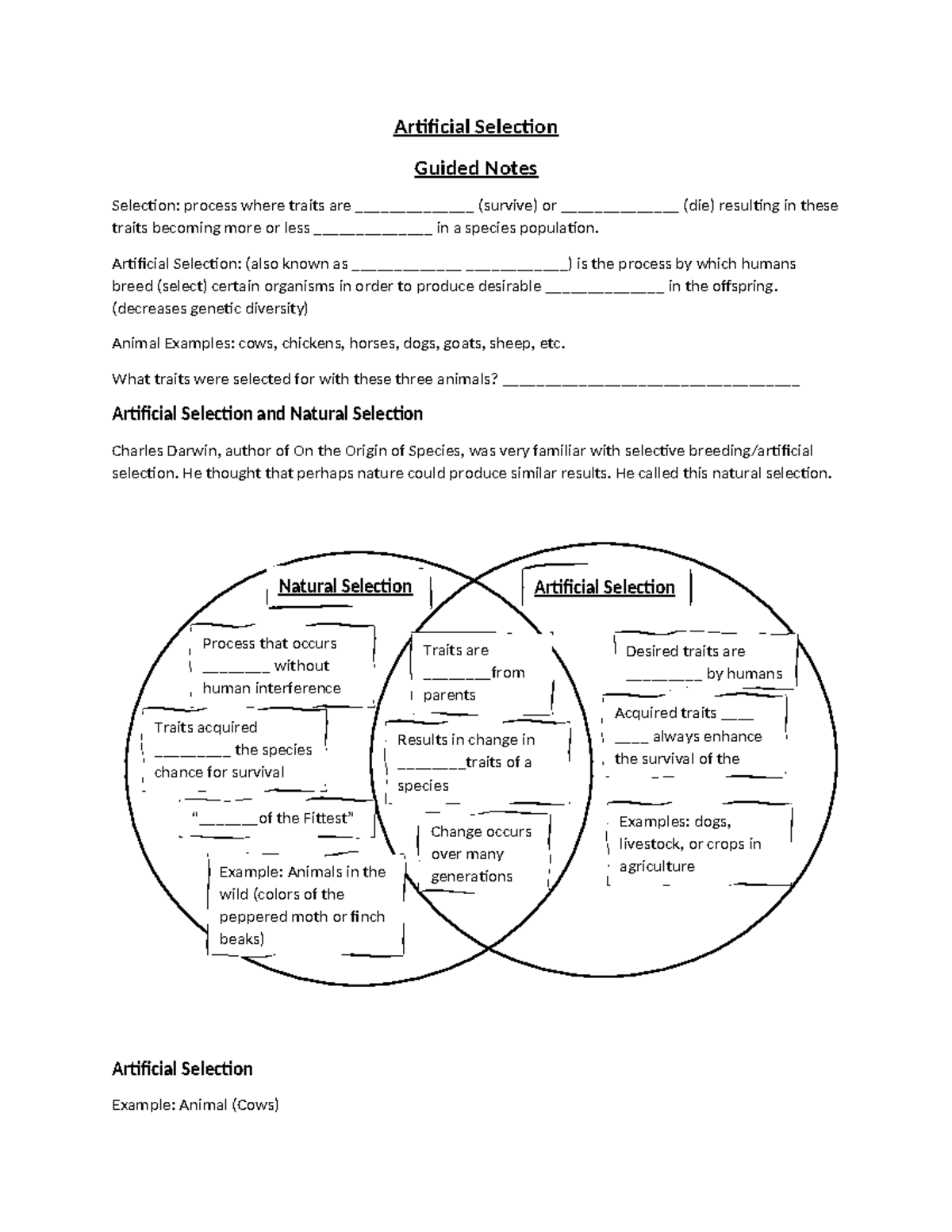 Biology 101: Artificial Selection Guided Notes for Students - Studocu
