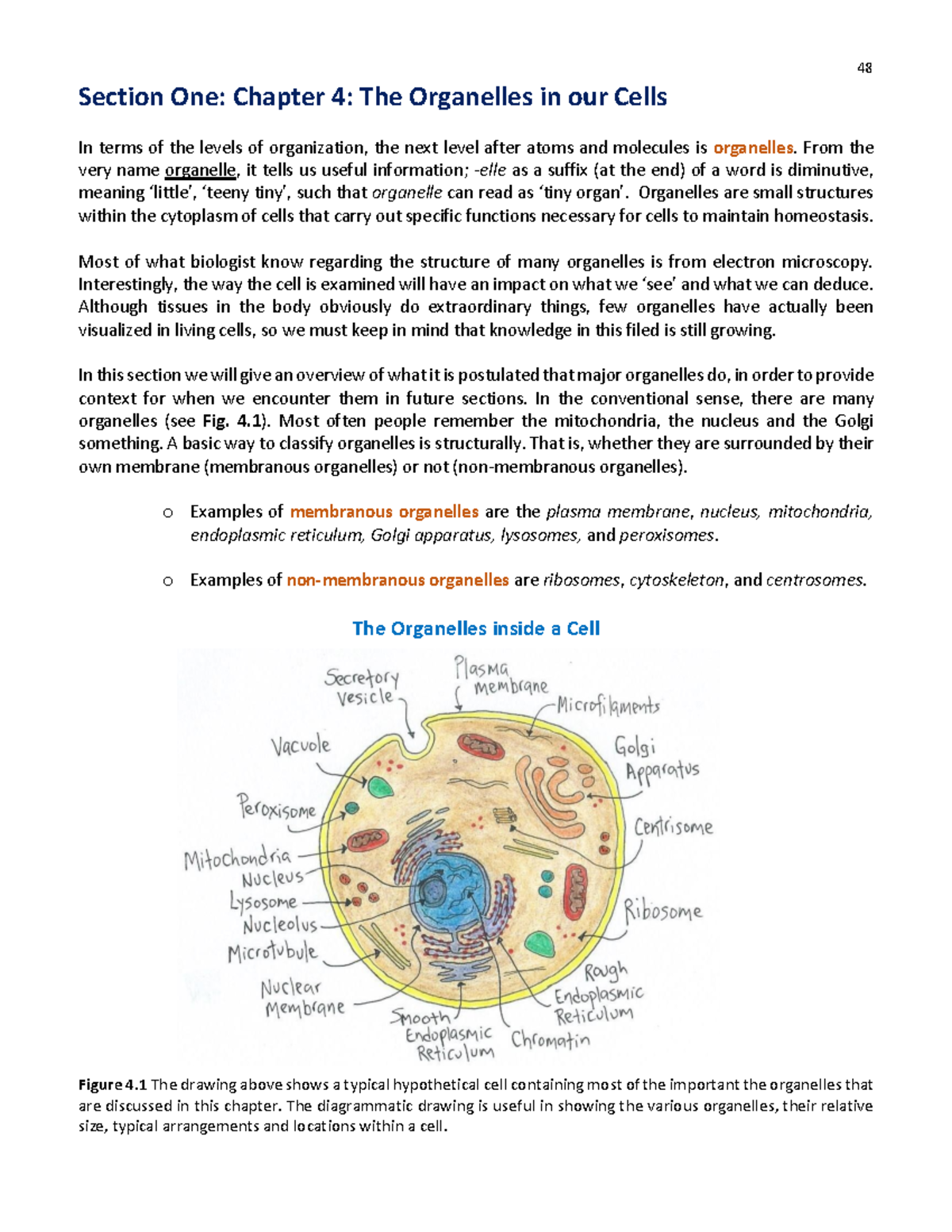 BIO101: Chapter 4 - Overview of Cell Organelles and Their Functions ...