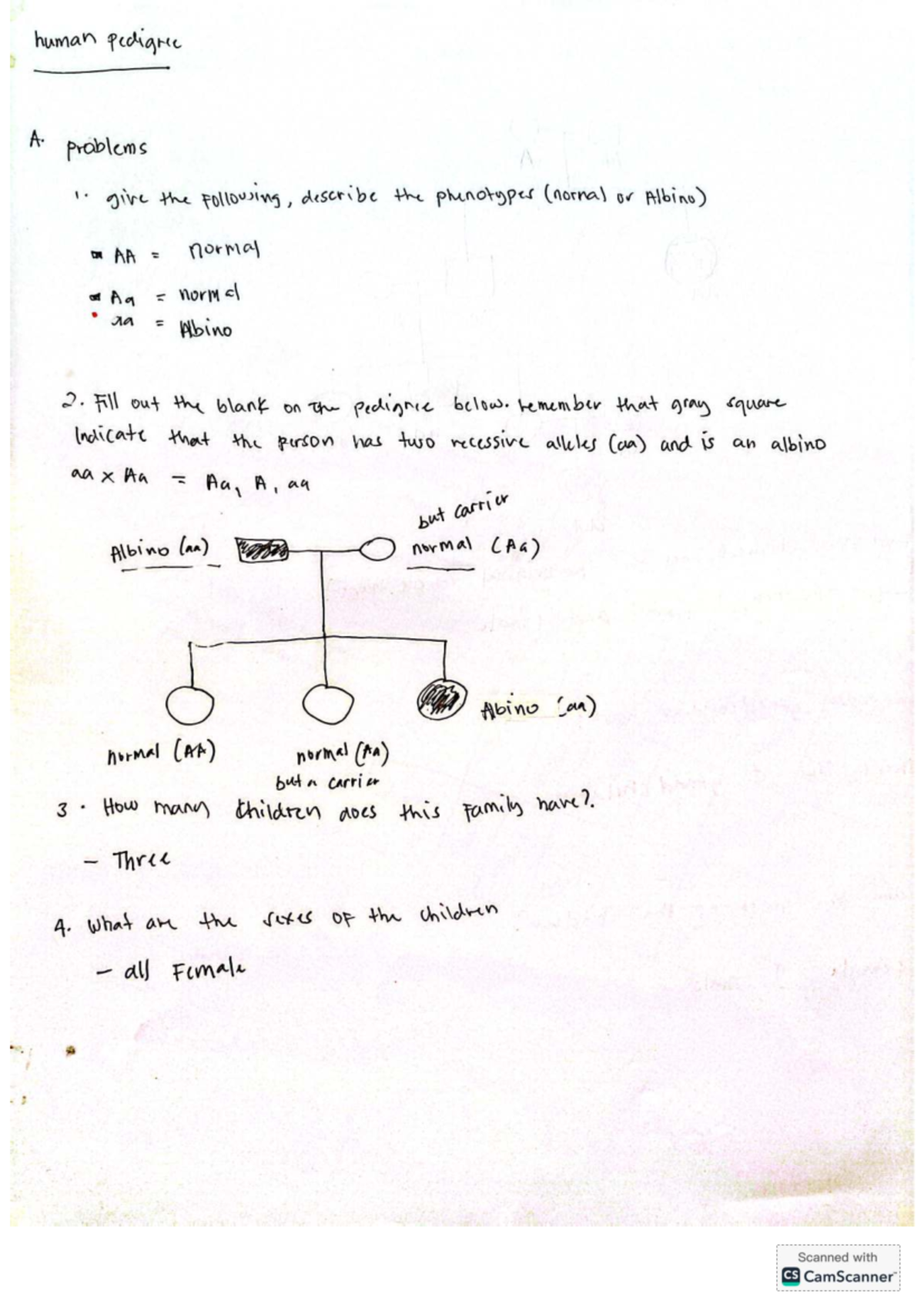 Human Pedigree Analysis: Falconi Anemia & Phenotypes - Studocu