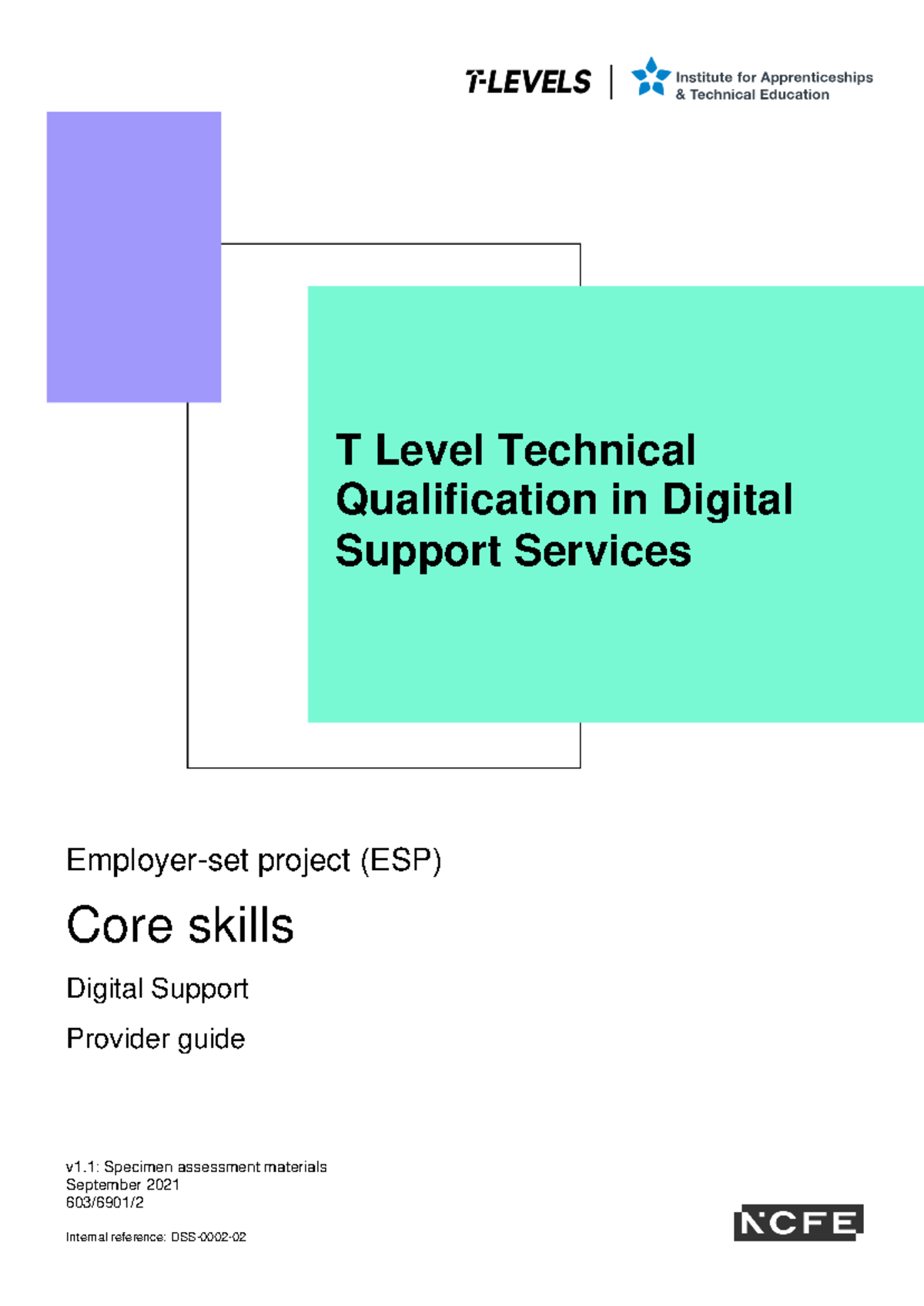 DSS 0002-02 ESP Core Skills Digital Support Provider Guide - Studocu