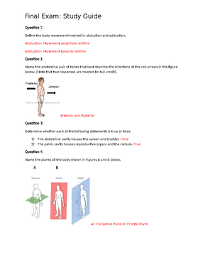BIO101 - Levels of Organization and Body Systems Study Guide - Studocu