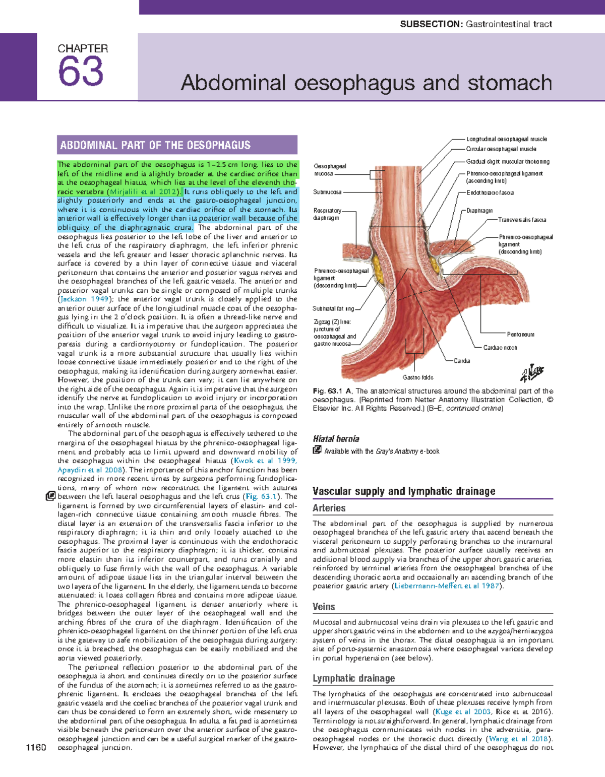 CHAPTER 63: Abdominal Oesophagus and Stomach Overview - Studocu