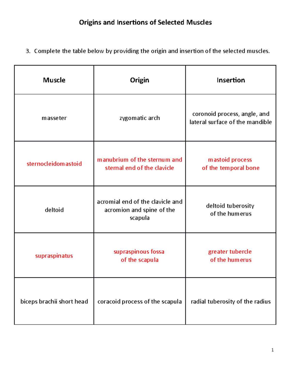 Muscle Lab 1 or 2: Answer Key for Origins, Insertions, & Actions - Studocu