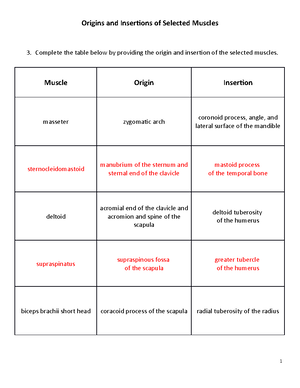 Ch 9 Muscular System-1 - Labeled diagrams and answers - Lab Workbook 9 ...