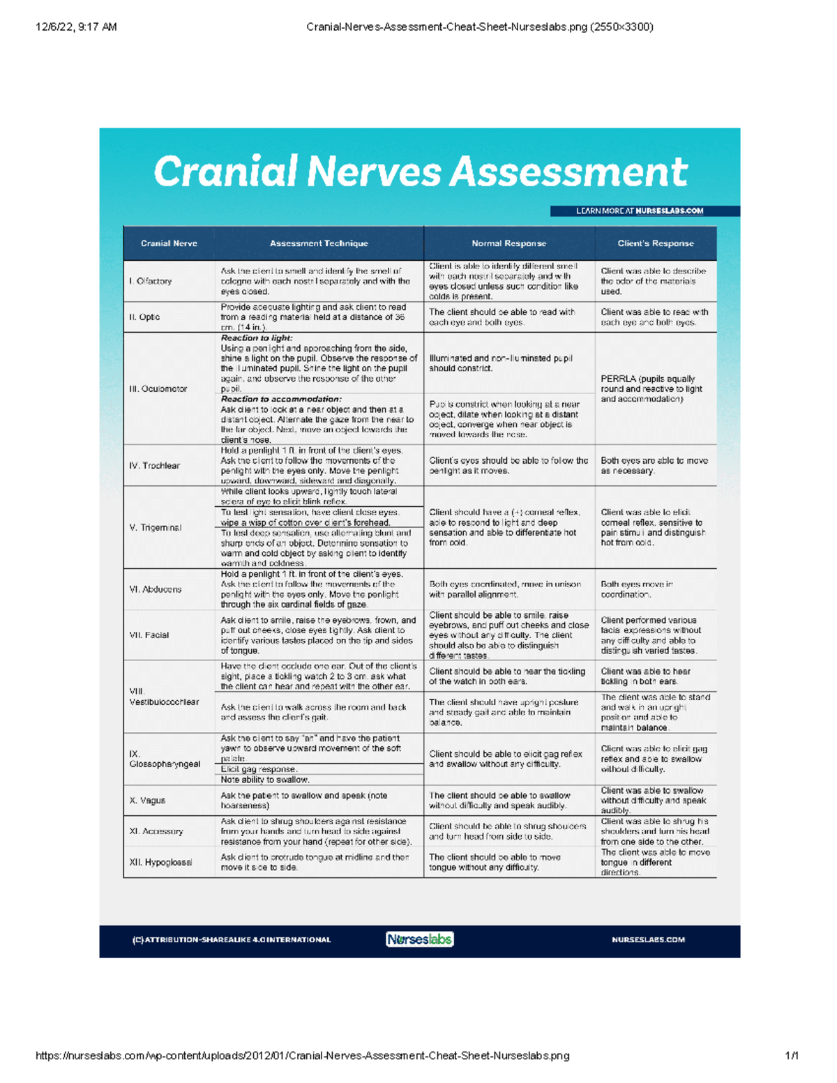 Cranial Nerves Assessment Cheat Sheet - 9:17 AM (2550x3300) Cranial ...