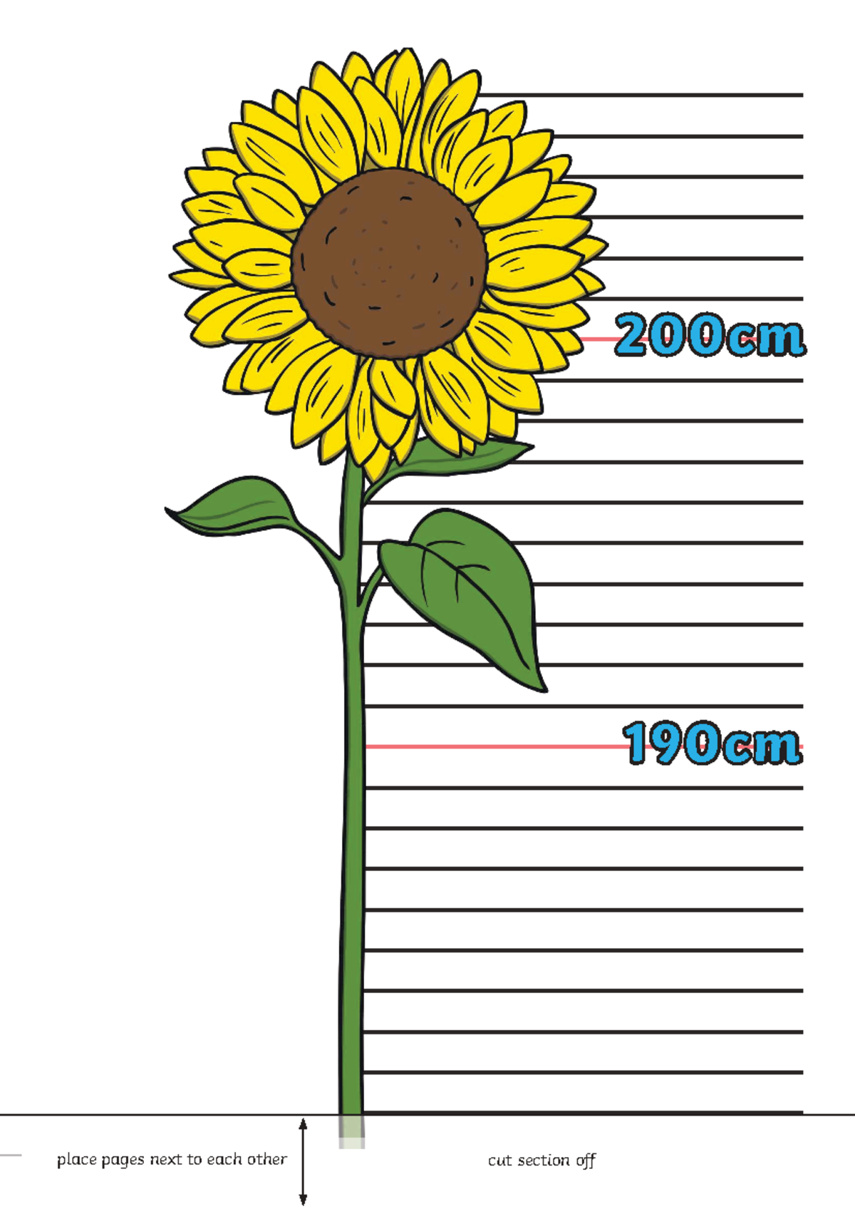 Flower Height Chart: Page Placement & Cutting Guide - Studocu