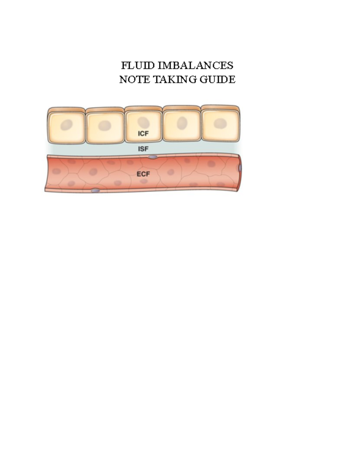 Fluid Imbalances Note Taking Guide - FLUID IMBALANCES NOTE TAKING GUIDE ...