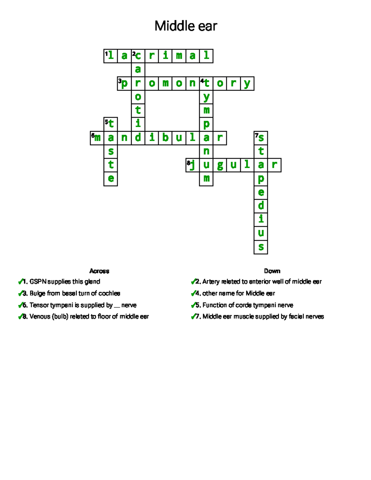 Middle Ear Anatomy Crossword - GSPN & Related Structures - Studocu
