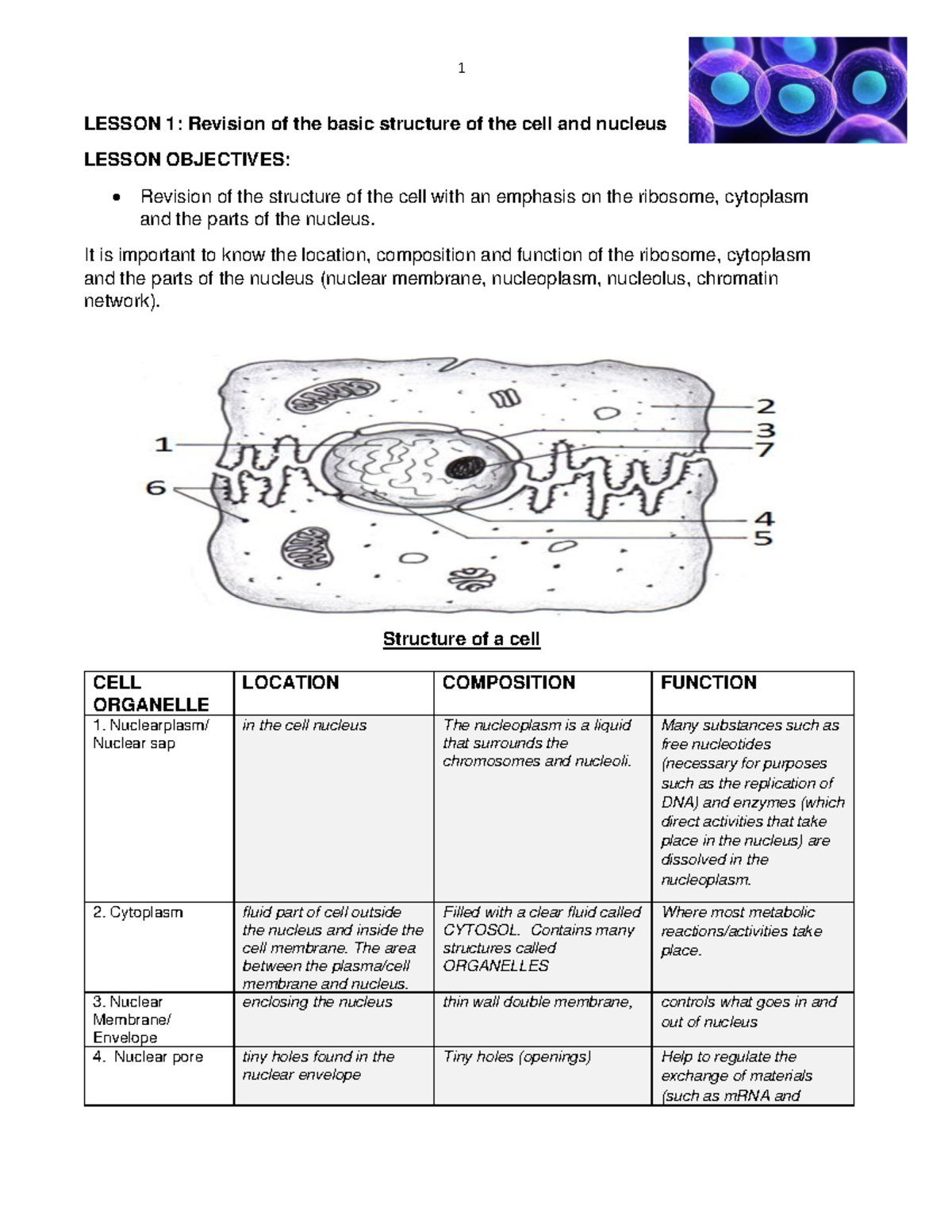 Lesson 1: Revision of Cell Structure & Nucleus Overview - Studocu