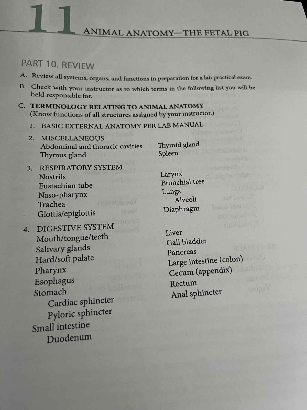 Final Exam Study Guide for Course CS101: Introduction to Programming ...