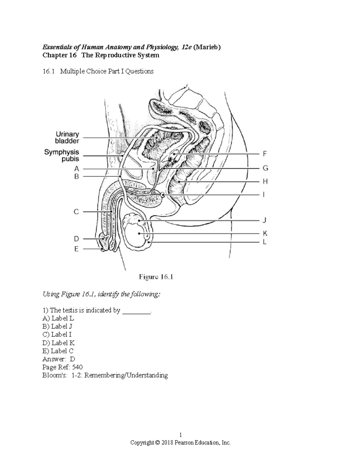 Ehap12e ch 15 test bank - Human Anatomy test bank. - Essentials of ...