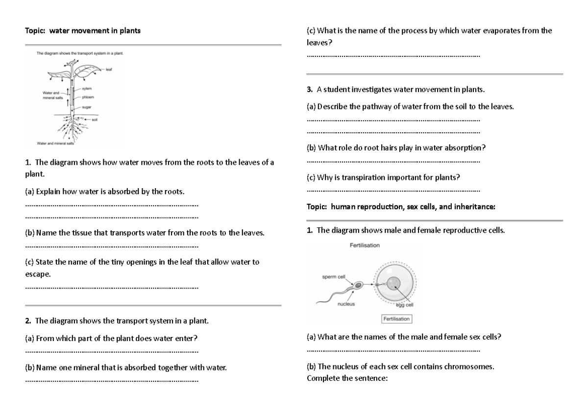 Mid SA2 Exercise #1: Water Movement, Human Reproduction & Excretory ...