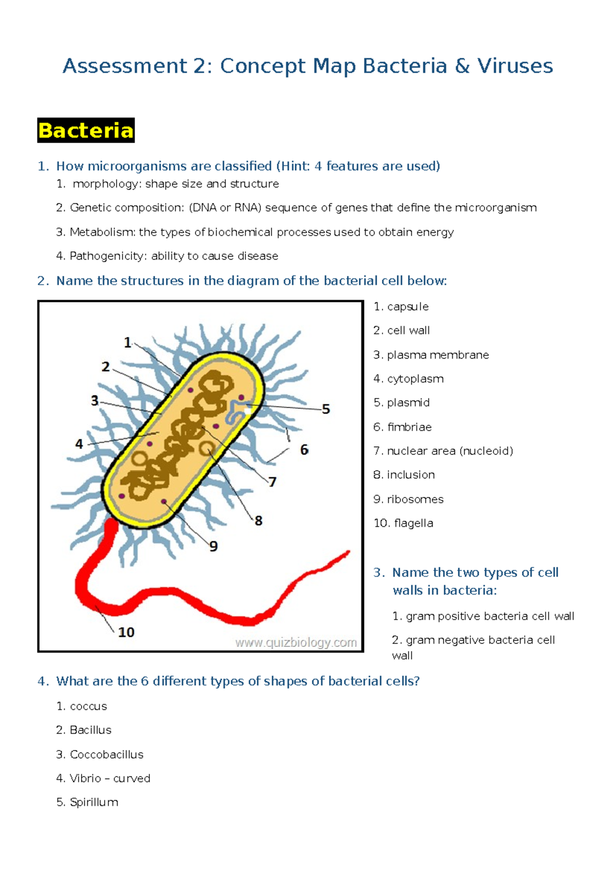Assessment 2: Concept Map on Bacteria & Viruses Overview - Studocu