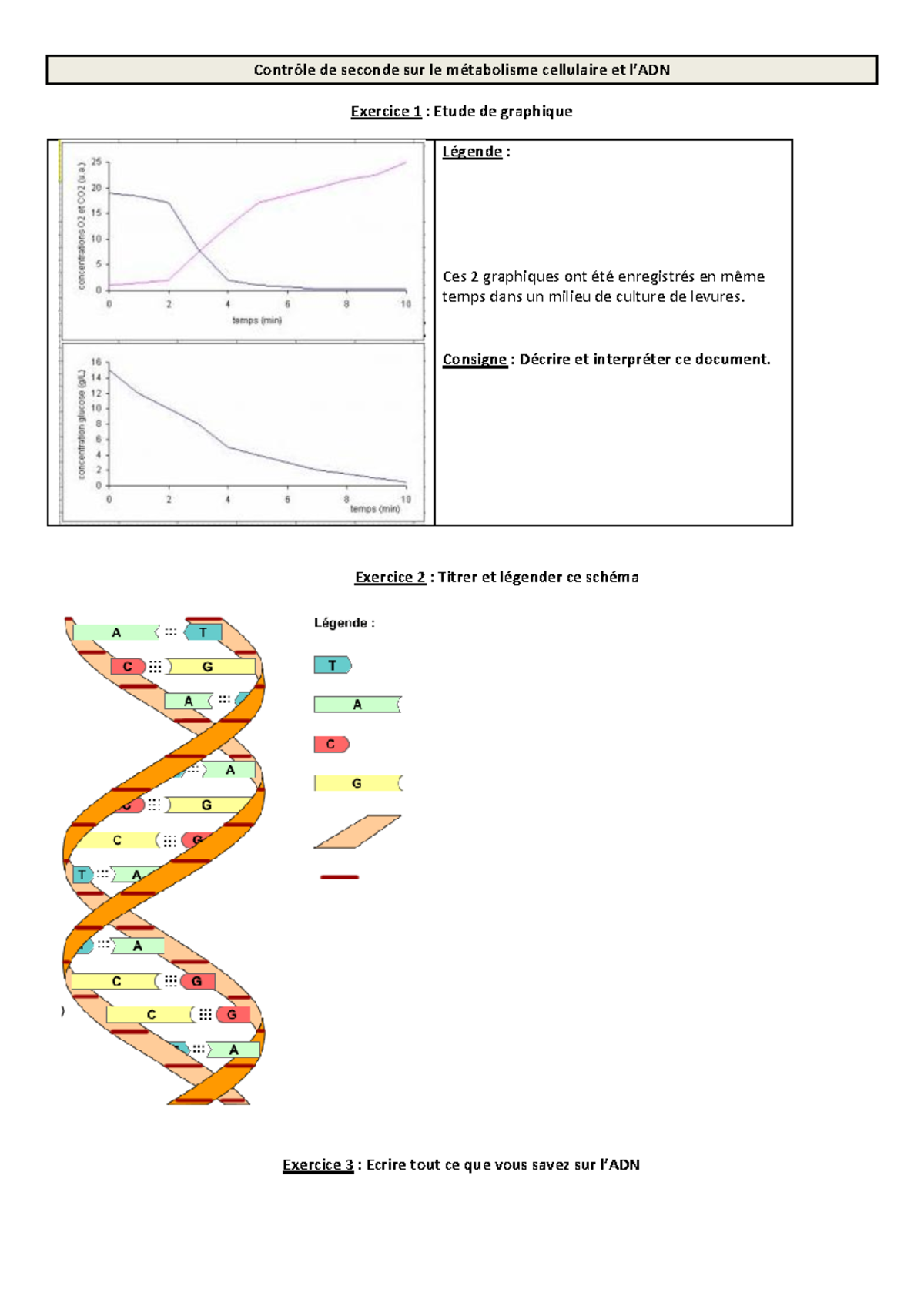 Contrôle sur le métabolisme cellulaire et l - Français moderne ...