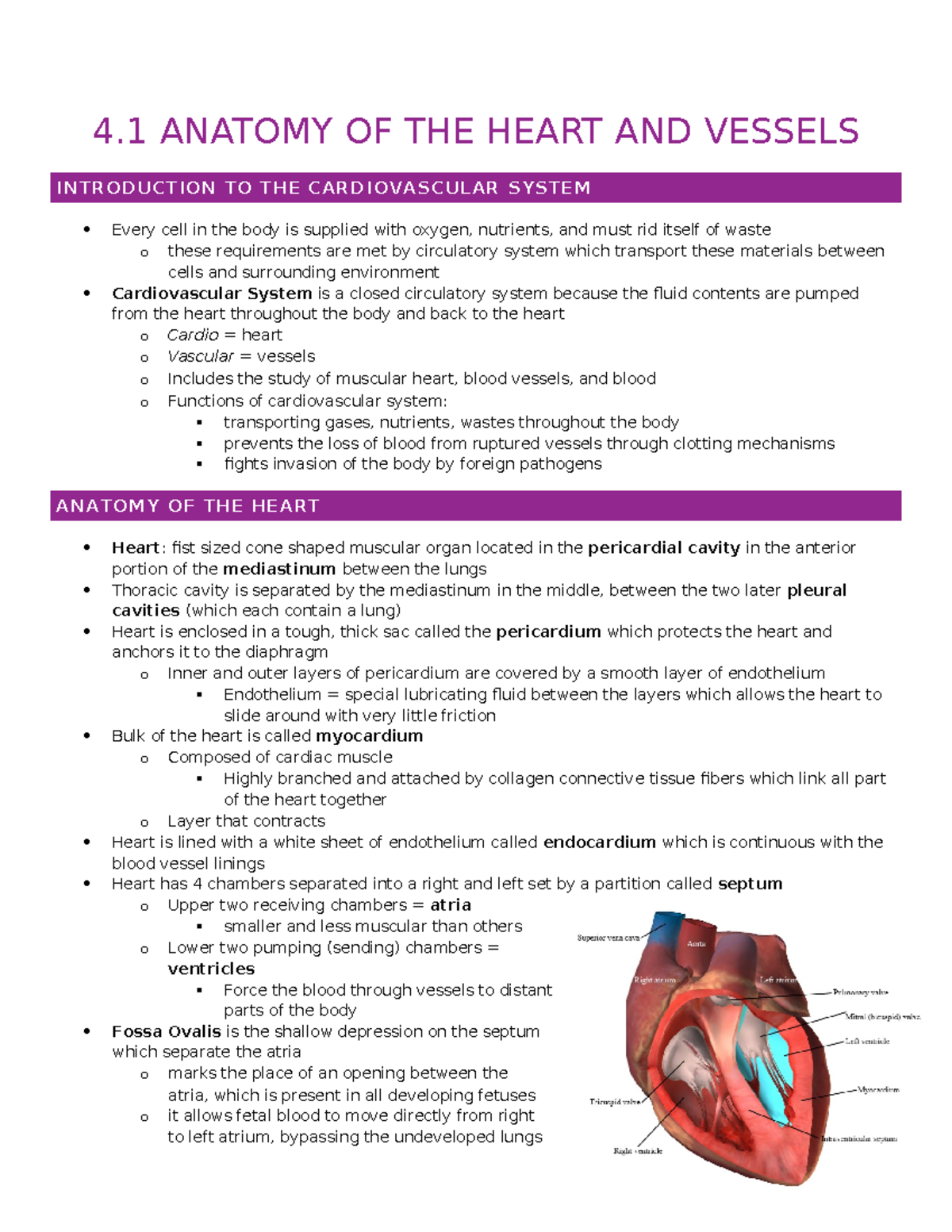 4.1 Anatomy of the Heart and Vessels: Cardiovascular System Overview ...
