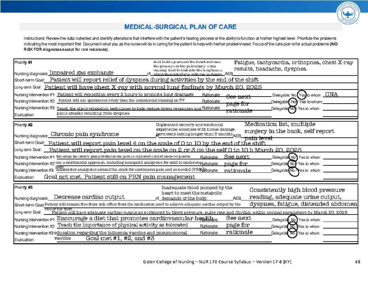 NUR 170 Care Plan Example: Prioritizing Nursing Diagnoses and ...
