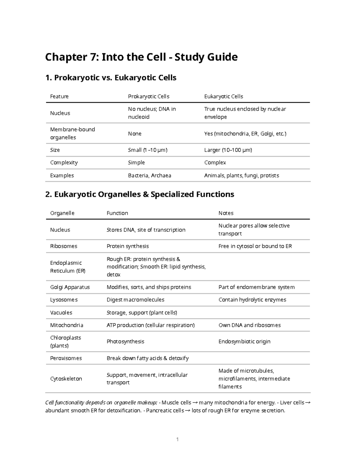 Chapter 7: Study Guide on Prokaryotic and Eukaryotic Cells - Studocu