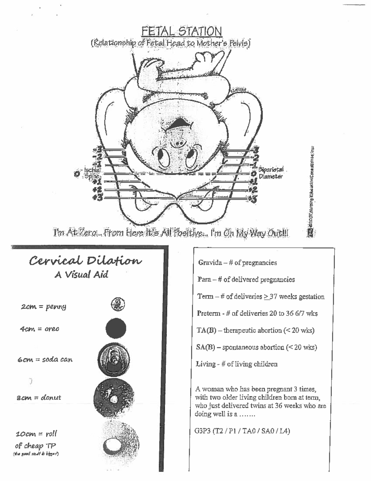 Module 2 sheets Intrapartum Handout - FETAL STATION (Relationship of ...
