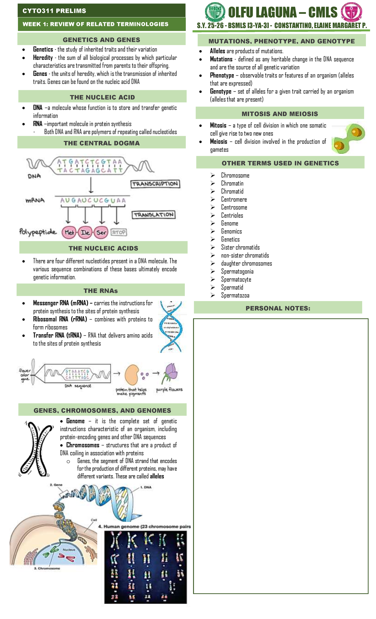 OLFU LAGUNA CMLS CYTO311 PRELIMS WEEK 1: GENETICS TERMINOLOGY REVIEW ...