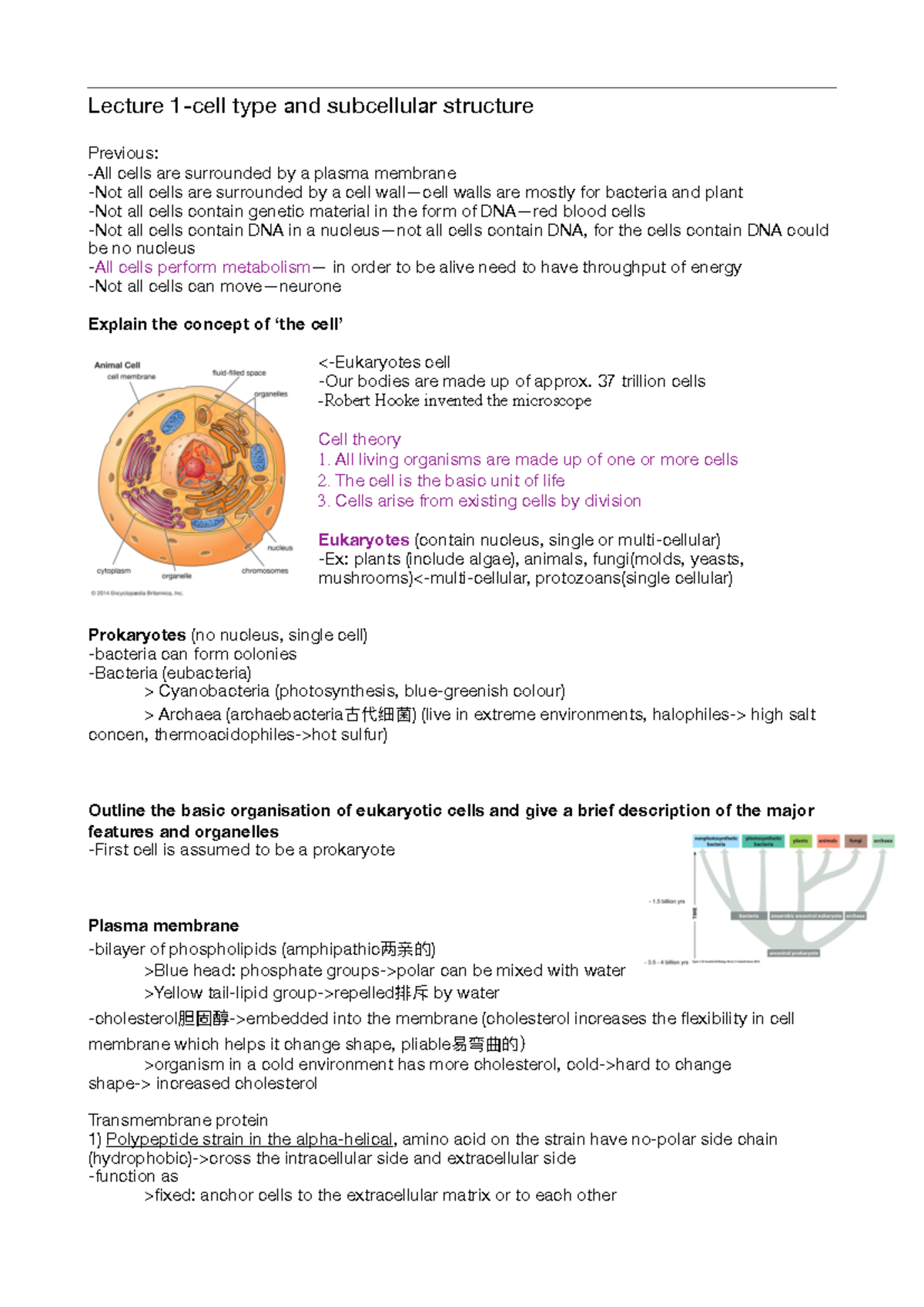 Cell biology Leacture note - Lecture 1-cell type and subcellular ...