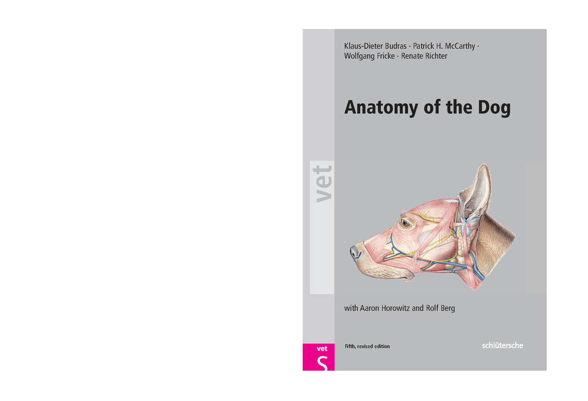 Anatomy of the Dog: Comprehensive Study Guide for Minor Animal Anatomy ...