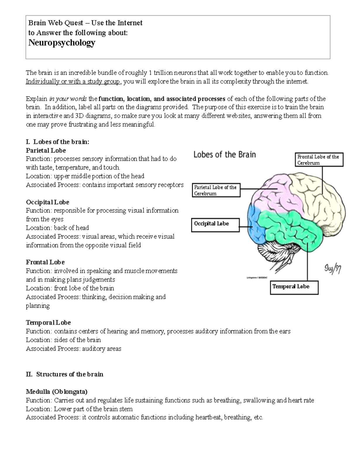 Brain Webquest - The brain is an incredible bundle of roughly 1 ...
