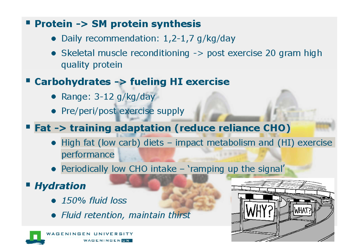 Nutritional Strategies for Enhanced Fat and CHO Metabolism - FAT 2023 ...