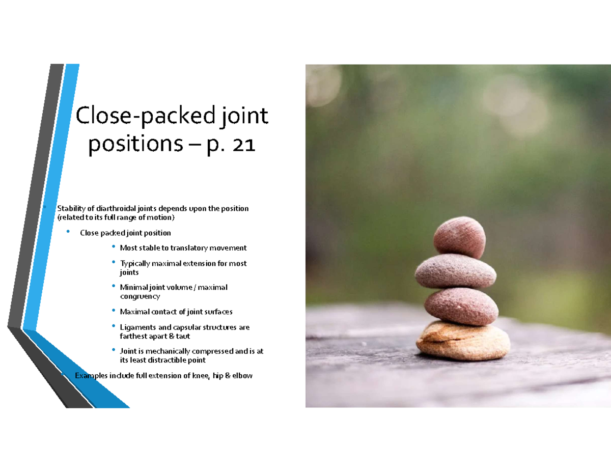 Foundations of Structural Kinesiology: Joint Movements & Stability ...