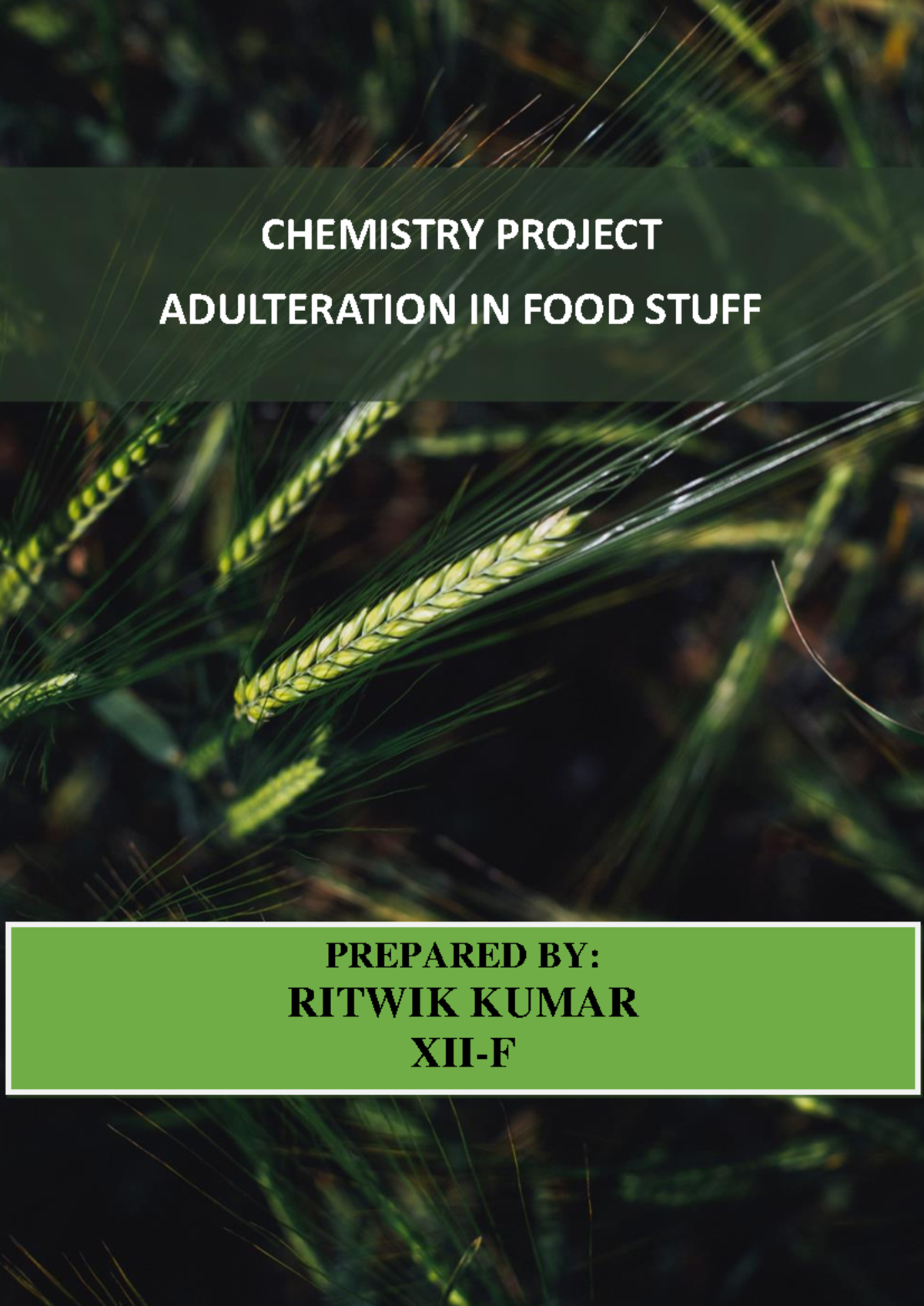 CHEMISTRY PROJECT: Adulteration in Food Stuff - Practical Reference ...