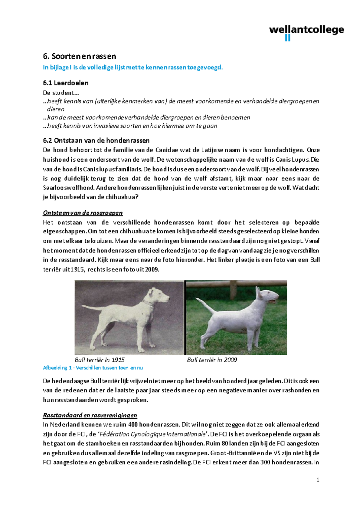 2.6 Soorten en rassen hond en kat - 6. Soorten en rassen In bijlage I ...