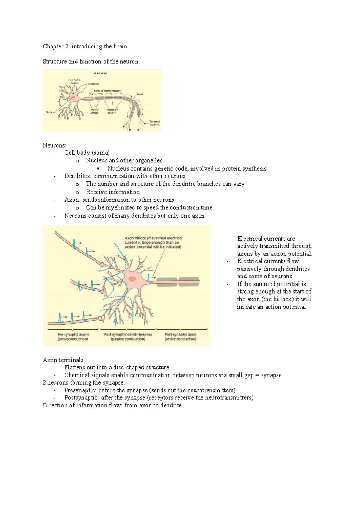 Chapter 2 - Introduction to Neurons and Their Functions in Cognitive ...