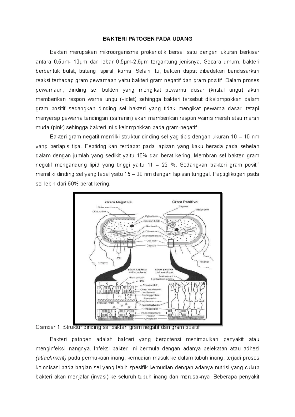 EMBA - Penggunaan media EMBA - Media EMB Agar (Eosin Methylene Blue ...