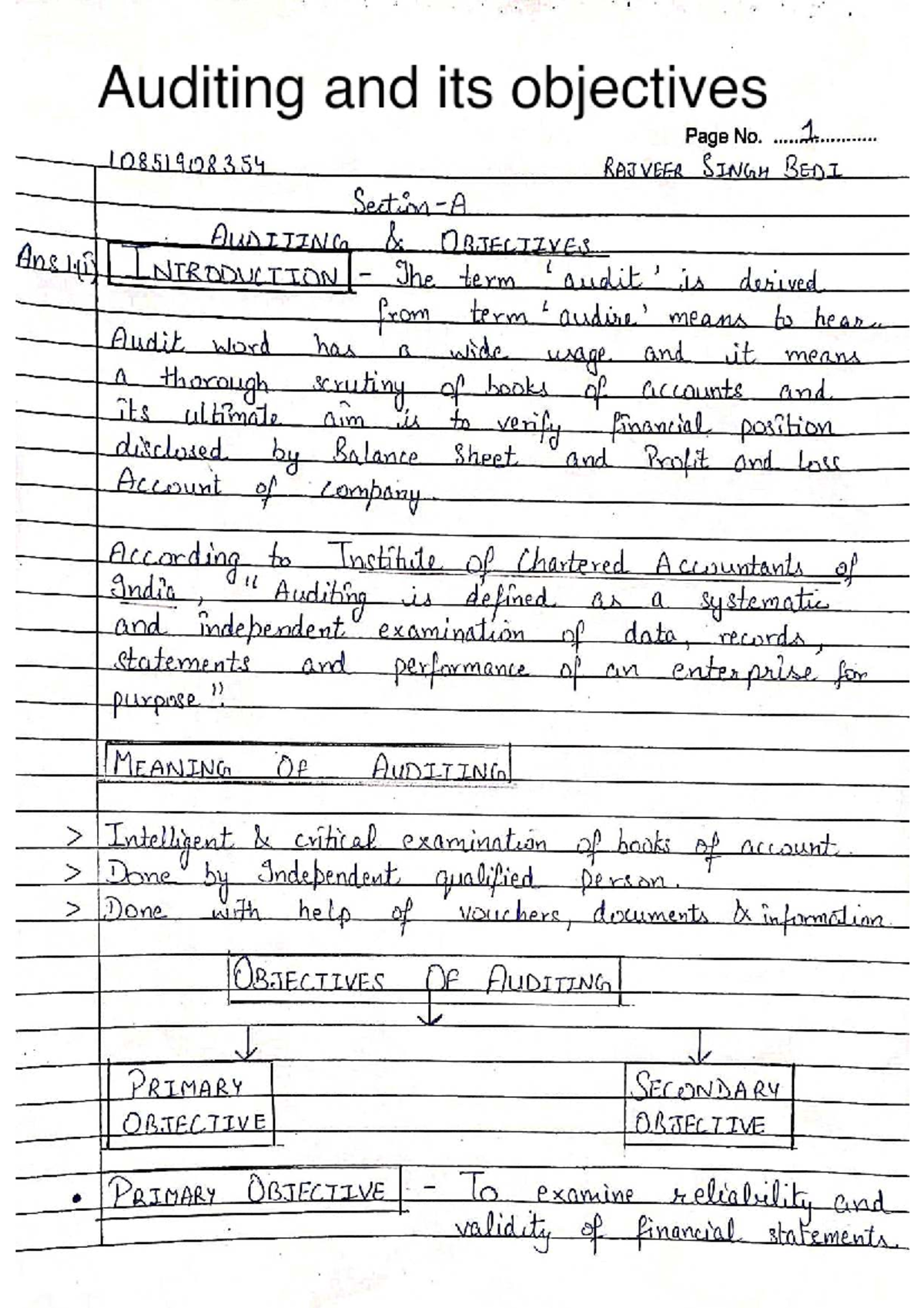 Auditing Objectives and Processes: A Comprehensive Overview (Course ...