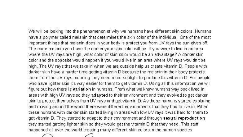 Visual Explanation of Humanitys Skin Color - We will be looking into ...