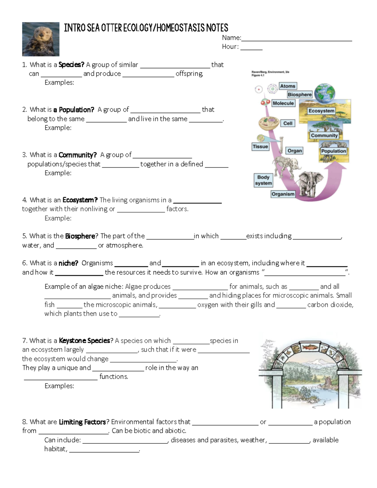 03+-+ Notes+(after+feeding+activity) - Intro Sea Otter Ecology ...
