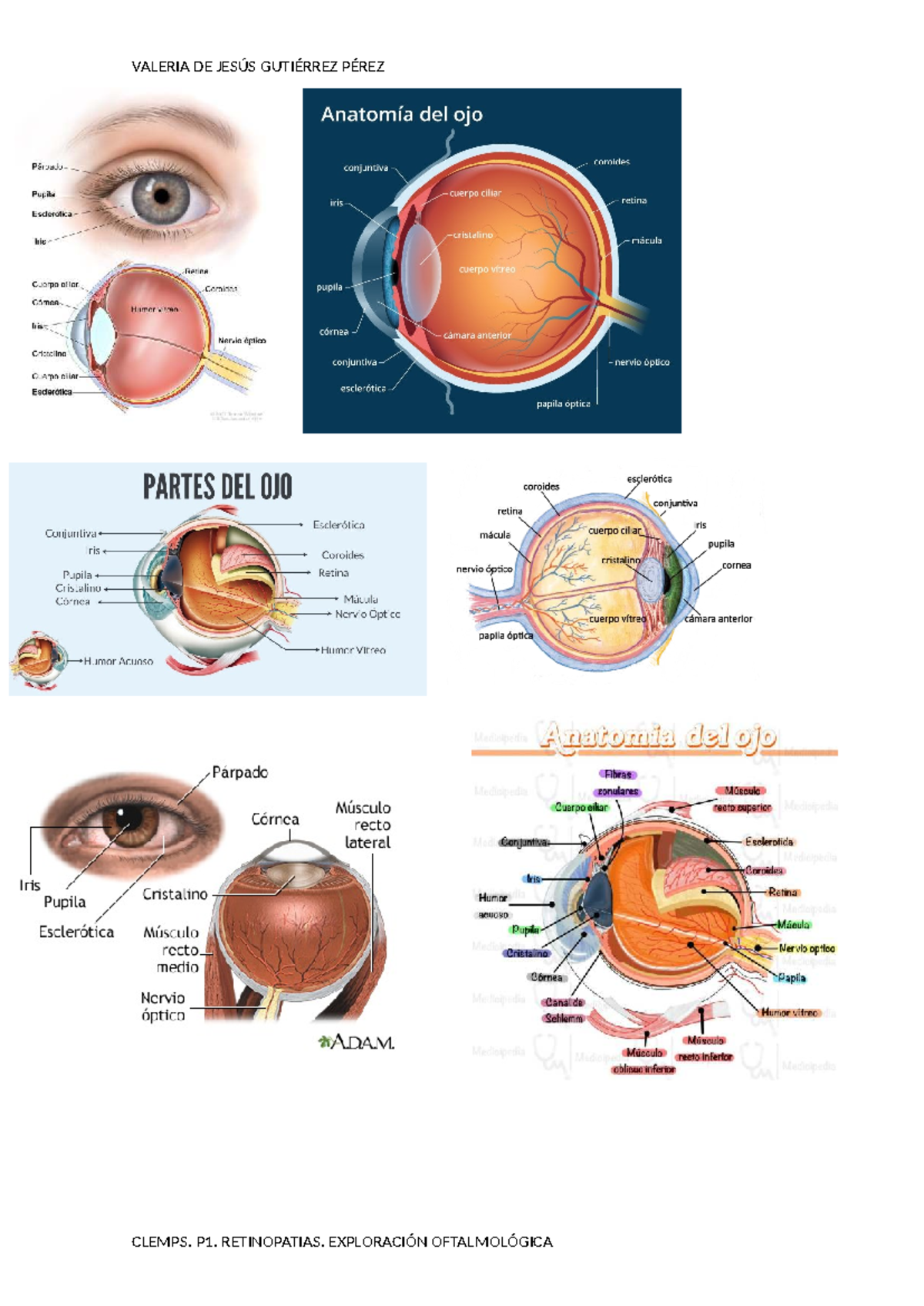 CLEMPS. P1. Resumen de Retinopatías y Exploración Oftalmológica - Studocu