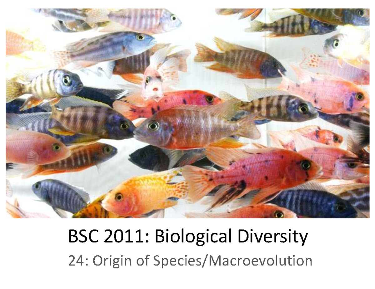 BSC 2011: Biological Diversity - Understanding Speciation Mechanisms ...