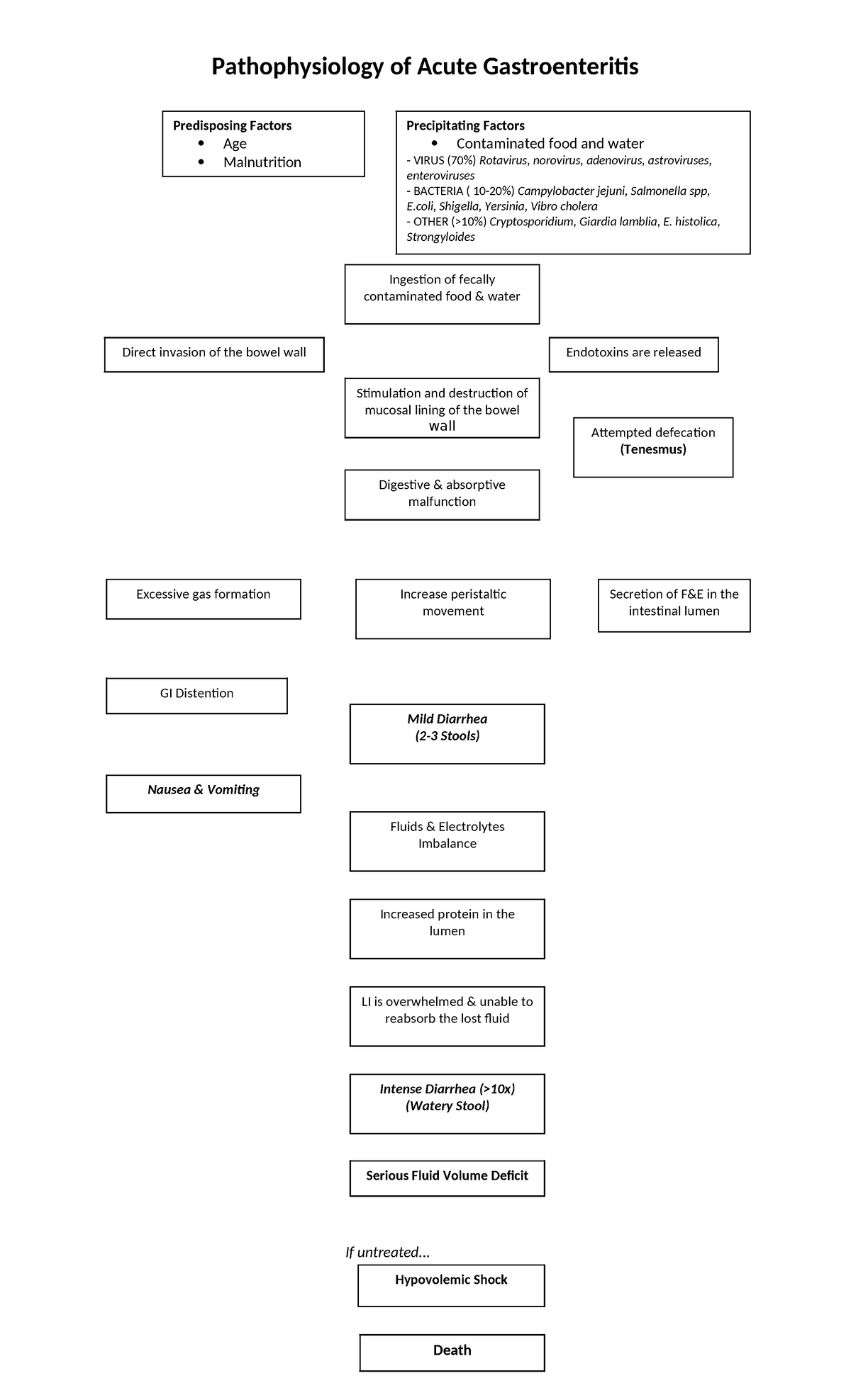 Pathophysiology of Acute Gastroenteritis: Factors & Consequences - Studocu